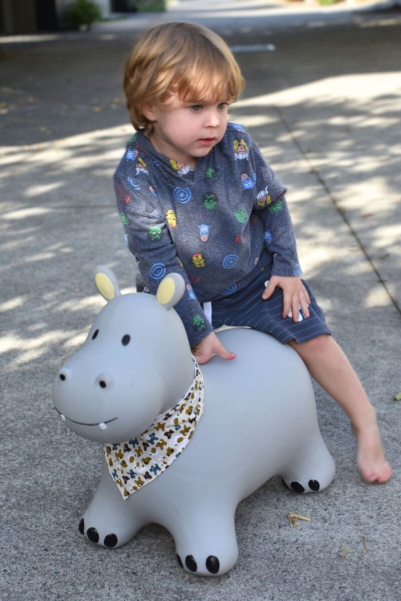 Shop Bouncy Rider Pebbles The Hippo Online at Kids Mega Mart