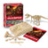 Discover Velociraptor Skeleton Dig Kit | Kids Mega Mart