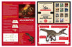 Discover Velociraptor Skeleton Dig Kit | Kids Mega Mart