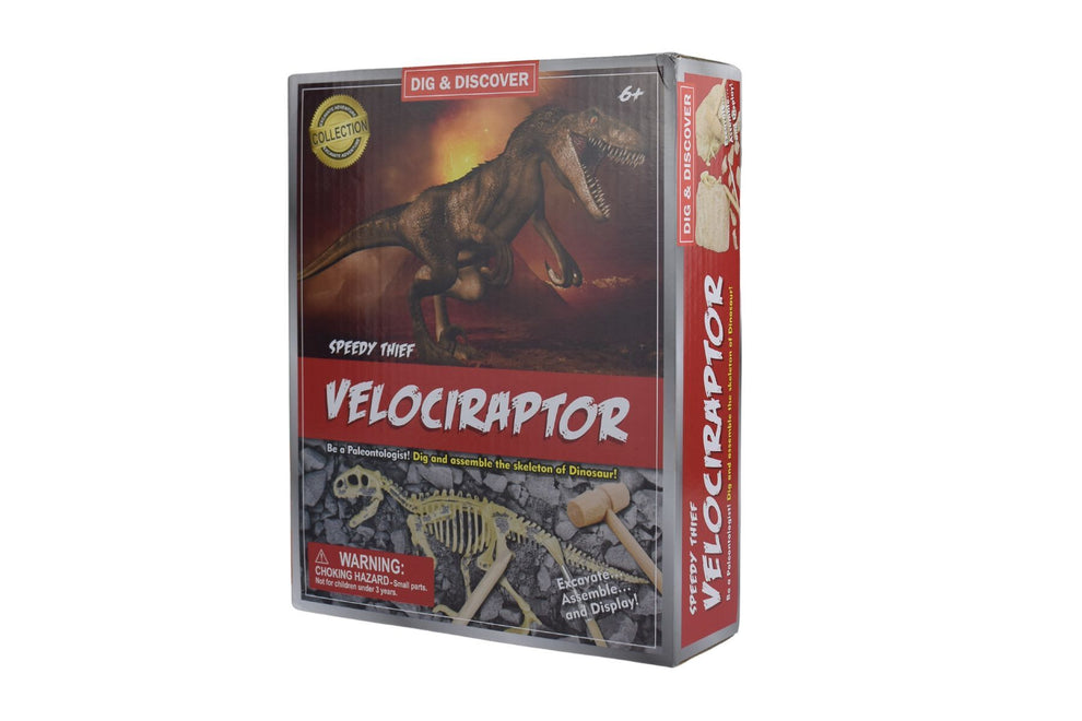 Discover Velociraptor Skeleton Dig Kit | Kids Mega Mart