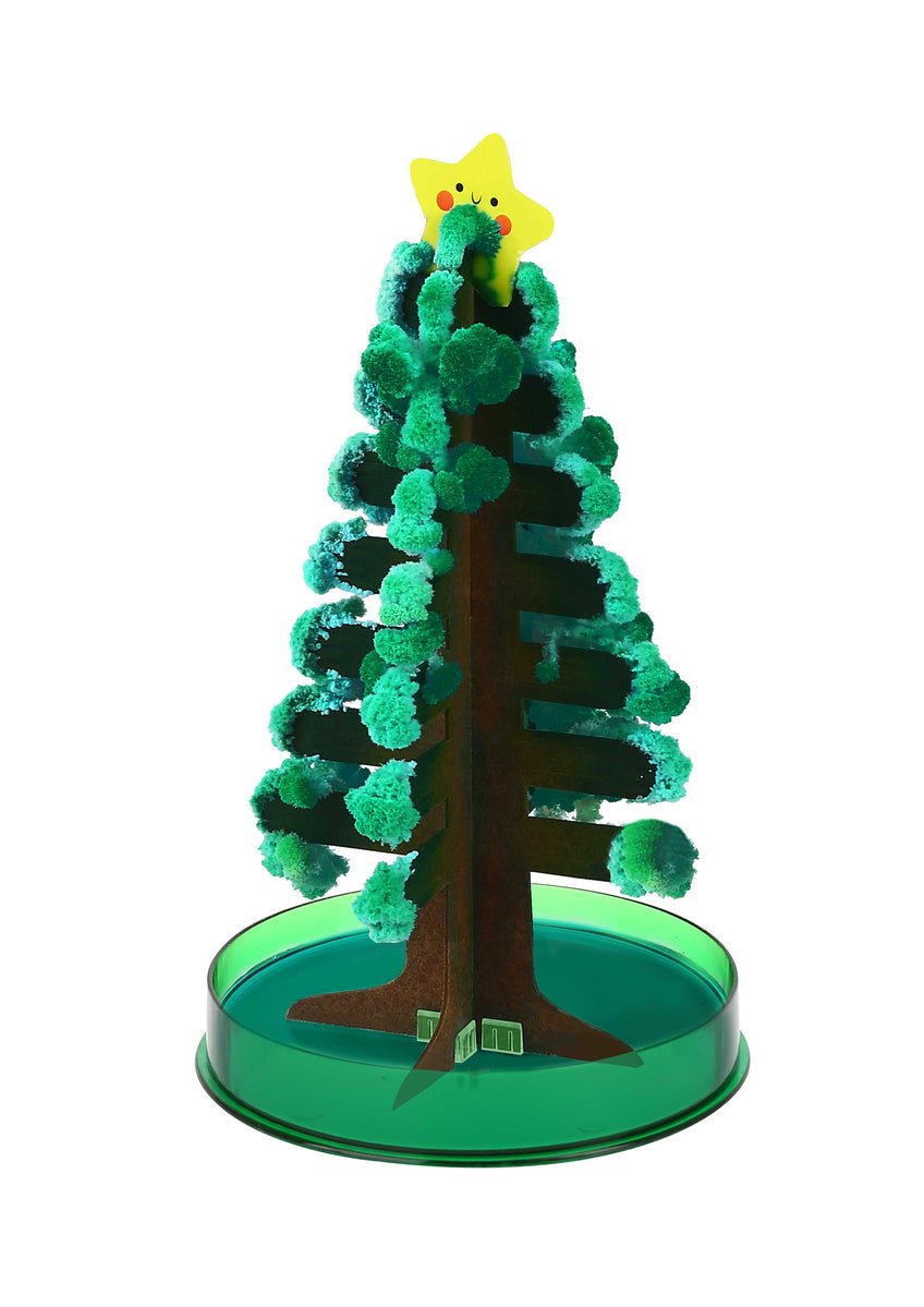 Magic Growing Christmas Tree Kit by Tookyland