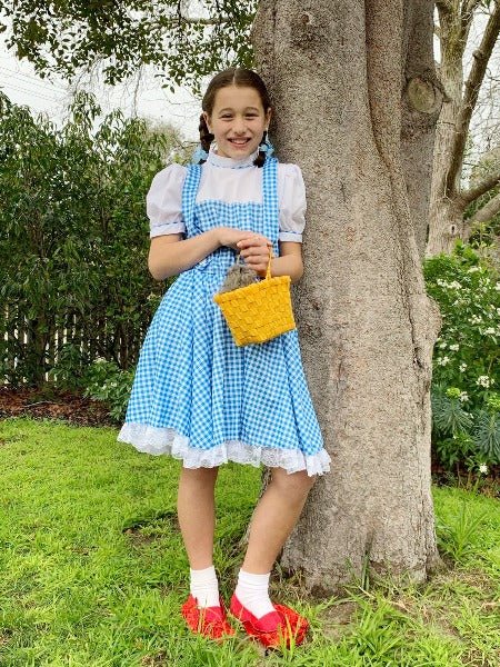Wizard of Oz Toto in Basket | Plush Dog Toy | Fast Shipping – Kids Mega ...